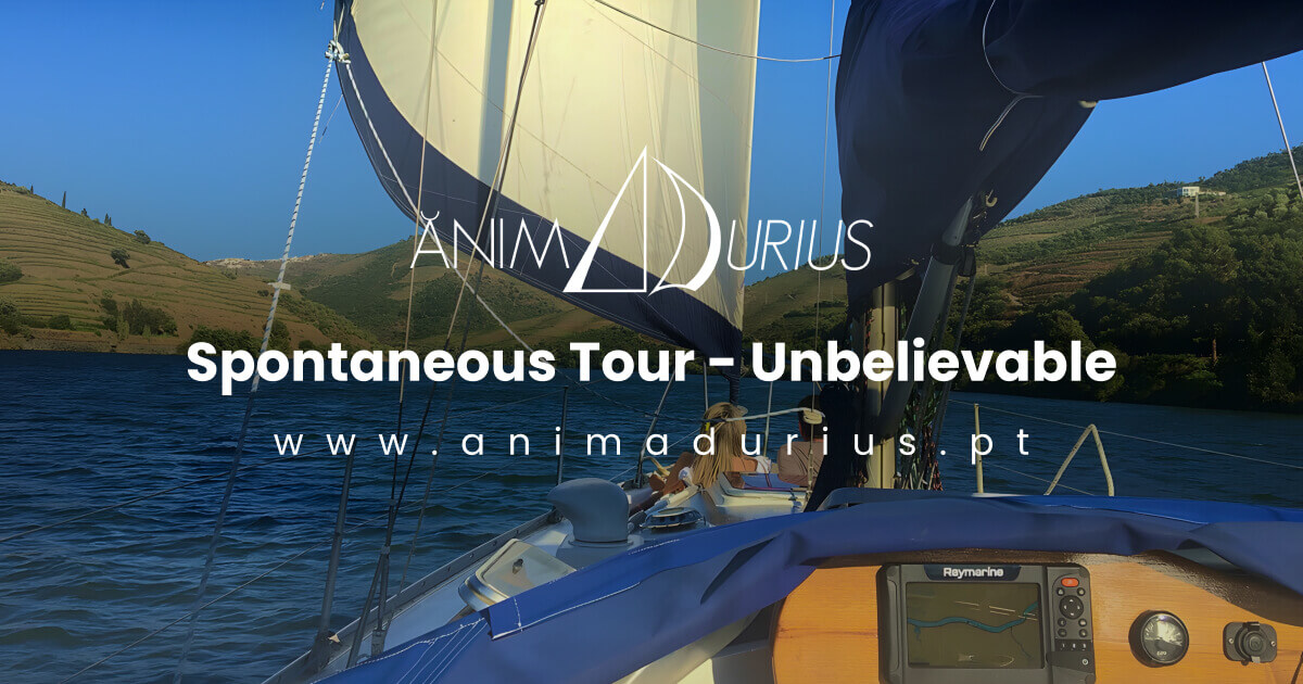 Tours of 1 or more hours – Ânima Durius